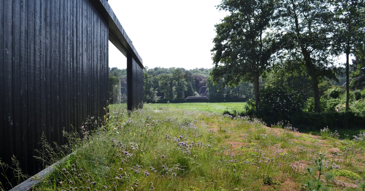 Biodiverse and nature-inclusive | Paul de Ruiter Architects