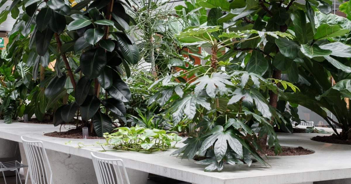 Sustainable certification | Paul de Ruiter Architects