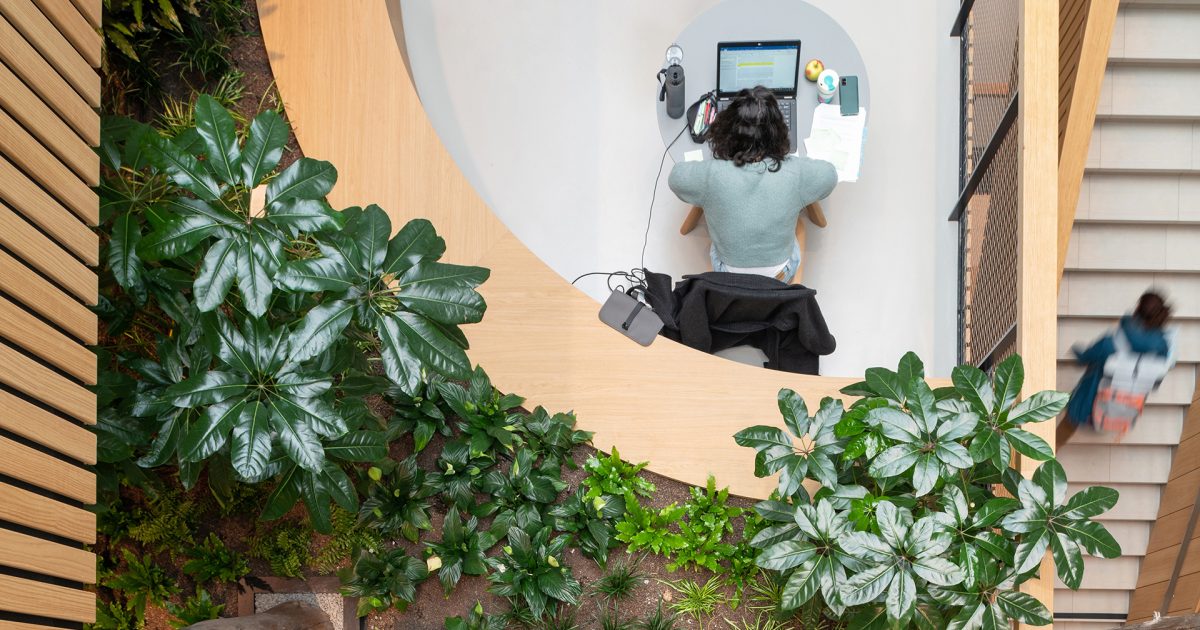 Biophilic design: bringing nature indoors | Paul de Ruiter Architects