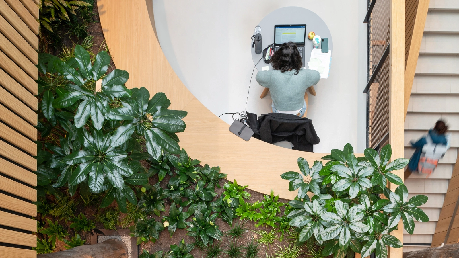 Biophilic design: bringing nature indoors | Paul de Ruiter Architects